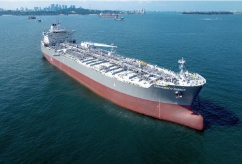 Central Mare | Central Group